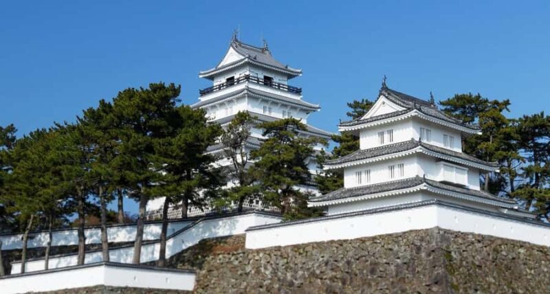 Nagasaki: Guided Walking Tour with a Local Guide - Who Should Consider This Tour?