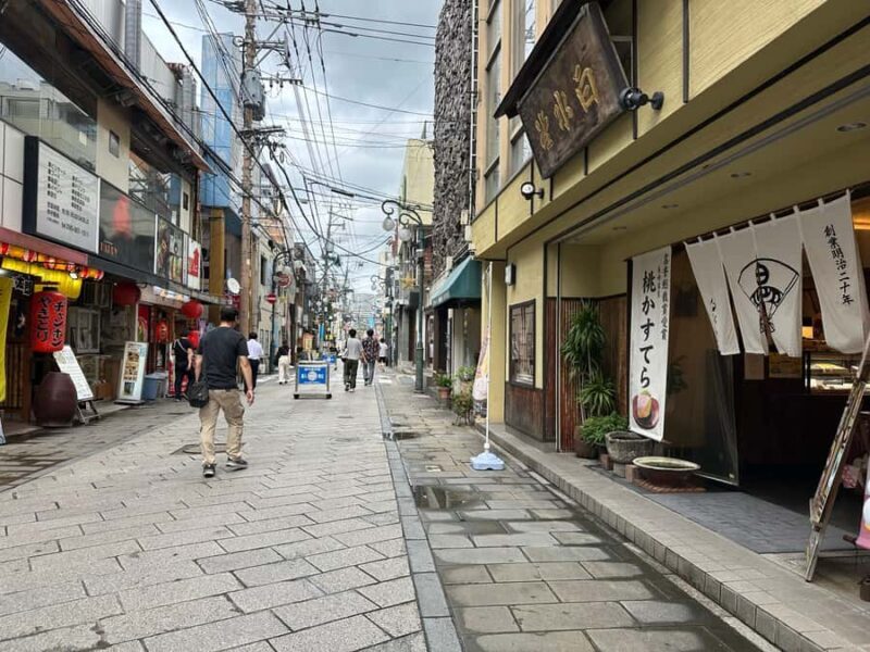 Nagasaki: Hidden Alleys and Finding Local Cats Walking Tour - FAQ