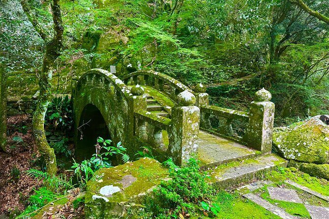 Nagasaki Highlights Private Full Day Tour by Car - Final Thoughts: Who Is This Tour Best For?