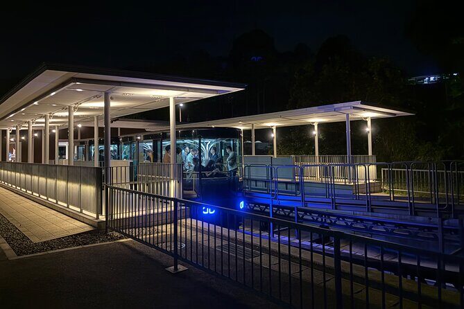 Nagasaki Night Tour - The Sum Up: Is it Worth It?