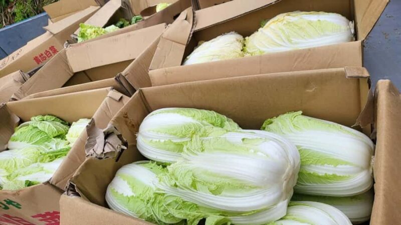 Nagasaki Sasebo: Traditional Cooking Class in Japanese House - Authenticity and Local Stories