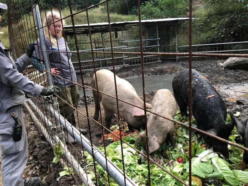 Nagasaki Sasebo: Traditional Cooking Class in Japanese House - Value for Money and Practical Details