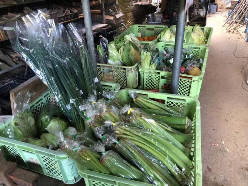 Nagasaki Sasebo: Wild Boar Miso Soup Dinner with Locals - Who Will Love This Tour?