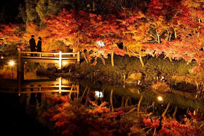 Nagashima Mitsui Park and Nagashima Hot Spring One Day Tour - A Closer Look at the Itinerary