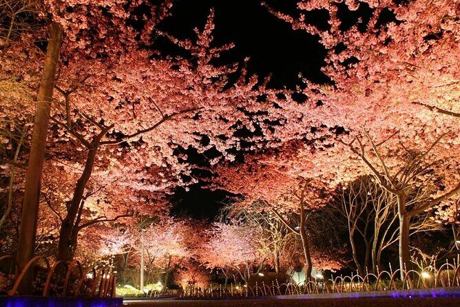 Nagashima Mitsui Park and Nagashima Hot Spring One Day Tour - The Sum Up