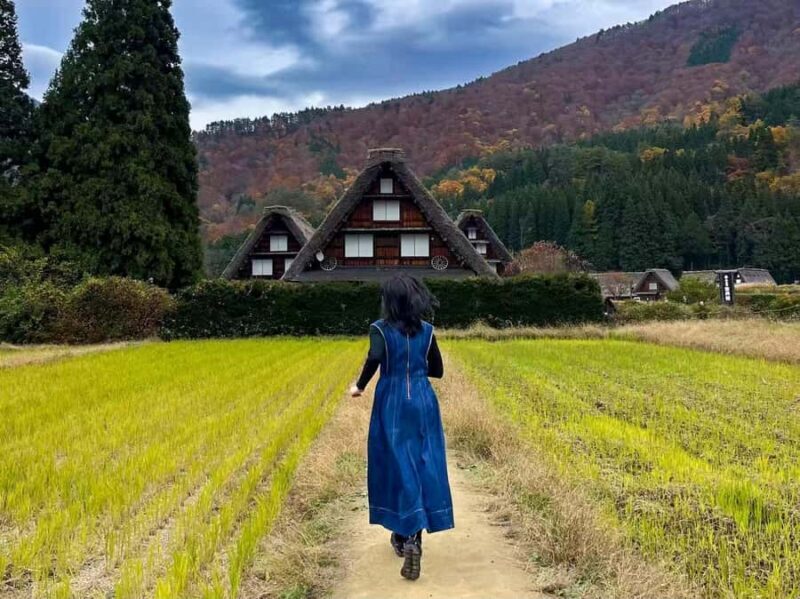 Nagoya: 2-Day Shirakawa-go, Kanazawa & Takayama Tour - Pricing and Value