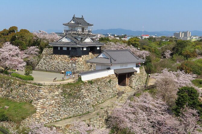 Nagoya Airport to Hamamatsu Shizuoka Japan Private Transfer - An In-Depth Look at the Private Transfer Experience