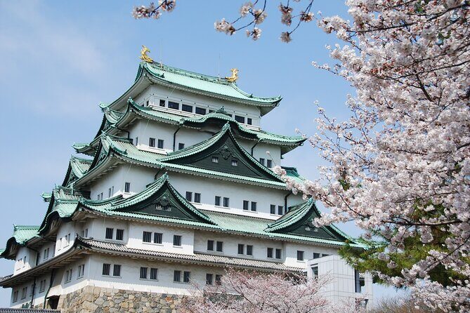 Nagoya Castle Cherry Blossom Festival and Tokugawaen Walking Tour - Introduction: What to Expect from This Tour