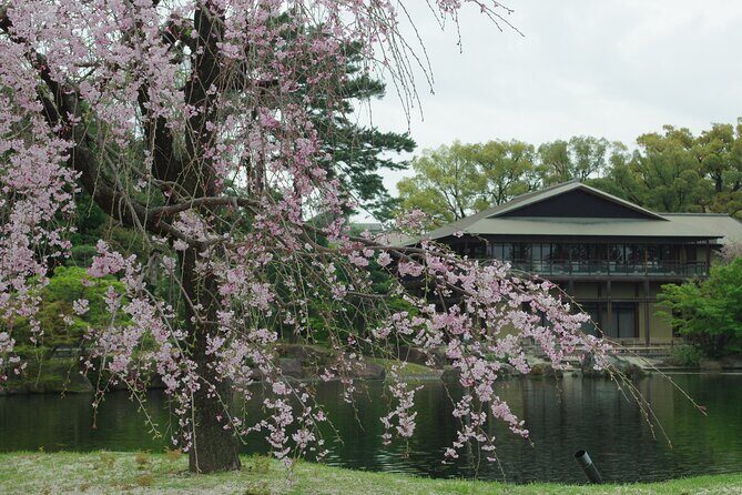 Nagoya Castle Cherry Blossom Festival and Tokugawaen Walking Tour - Authentic Experiences and Cultural Highlights
