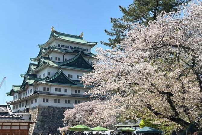 Nagoya Castle Visit & Folding Fan Workshop - A Good Introduction to Nagoyas Rich Heritage