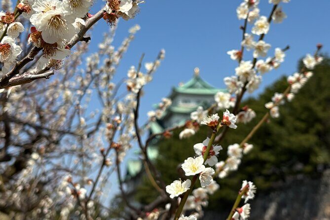 Nagoya Castle Walking Tour - FAQs