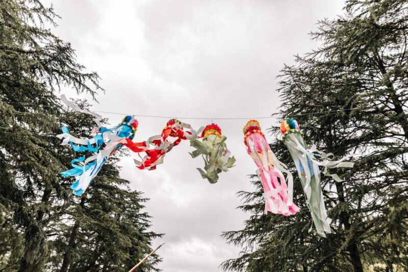 Nagoya: Customized Private Tour - Final Thoughts