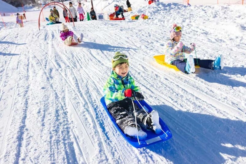 Nagoya: Dynaland Ski Resort Day Trip with Lift Ticket - Authentic Feedback from Travelers