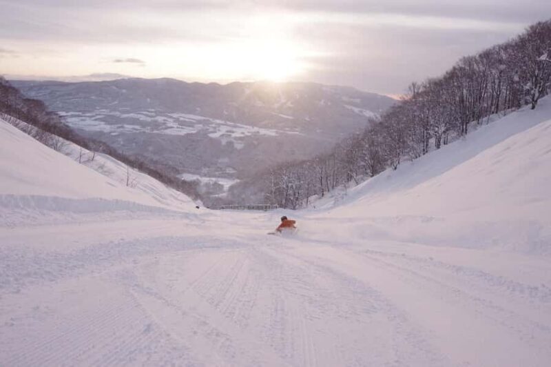 Nagoya: Dynaland Ski Resort Day Trip with Lift Ticket - Who Will Love This Tour?