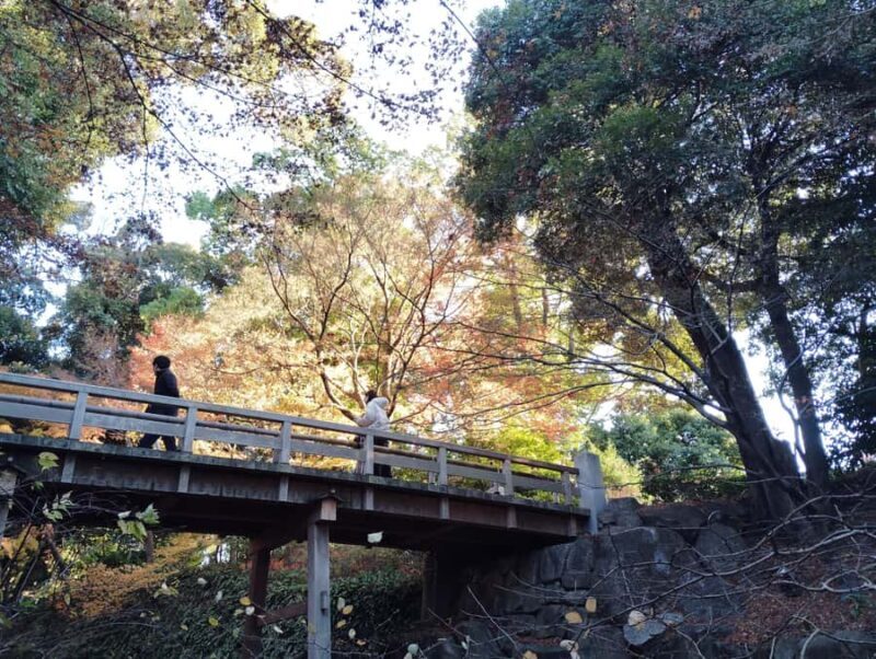 Nagoya: Exploring the Beauty of Tokugawa-en Garden - What Do Visitors Say?