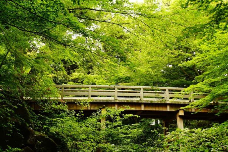 Nagoya: Exploring the Beauty of Tokugawa-en Garden - Who Should Consider This Tour?