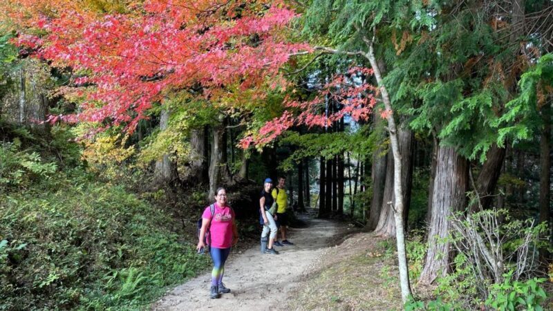 Nagoya: Full-day Kisoji Nakaendo Trail Tour - FAQ