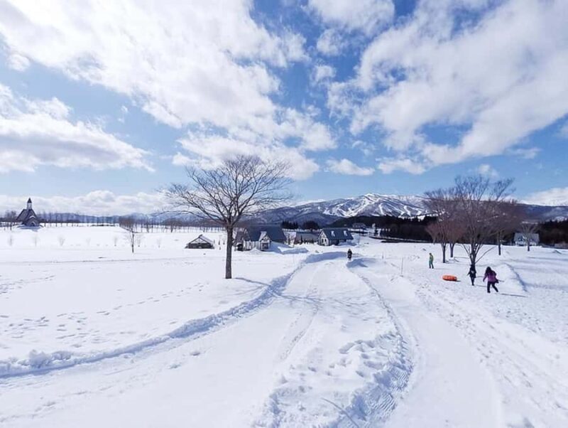 Nagoya: Gujo Hachiman, Snow Park, & Onsen Day Trip - Exploring Gujo Hachiman: A Step Back in Time