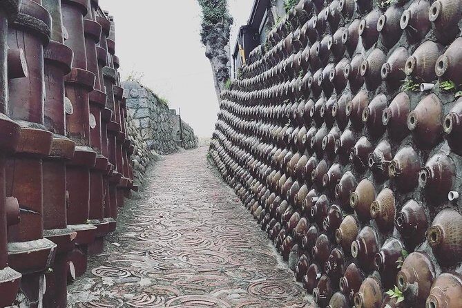 Nagoya Half-day Private Custom Tour with National Licensed Guide - Detailed Breakdown of Itinerary Options