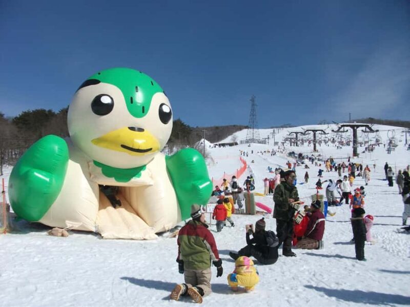 Nagoya: Hirugano Kogen Ski Resort Day Trip by Bus - Value and Cost Analysis