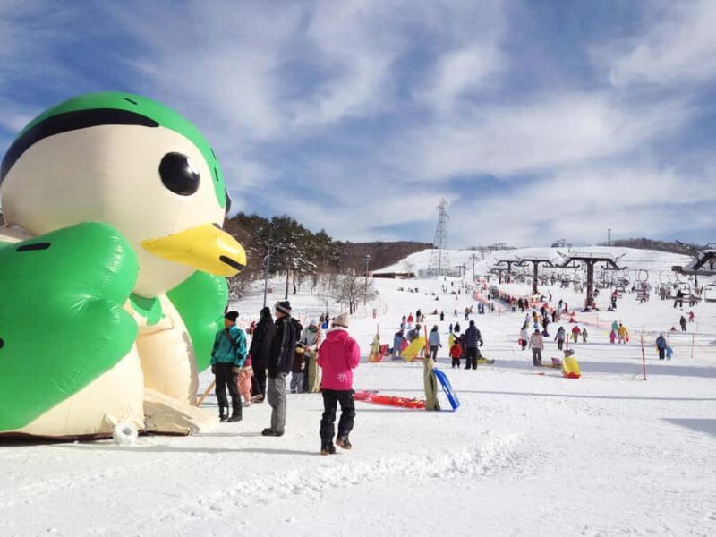 Nagoya: Hirugano Kogen Ski Resort Day Trip by Bus - Who Will Enjoy This Tour?