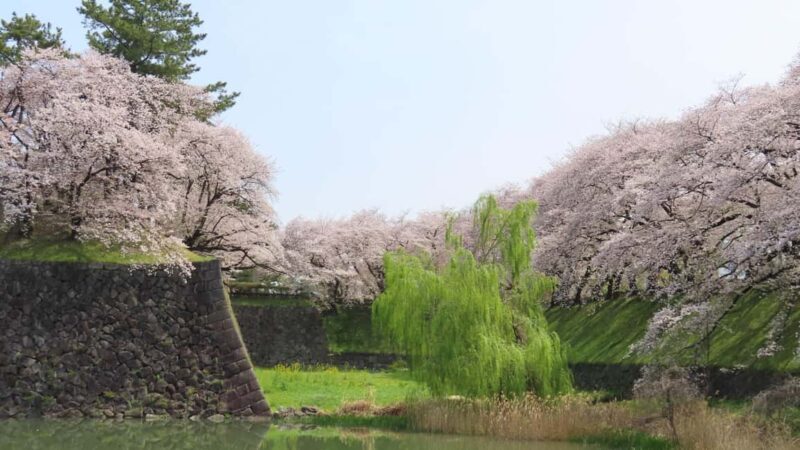 Nagoya Industry and History Tour - Introduction: Why This Tour Stands Out