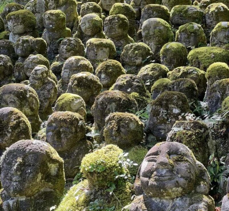 Nagoya: Nagano Private Day Trip with Custom Itinerary - Why Choose This Tour?