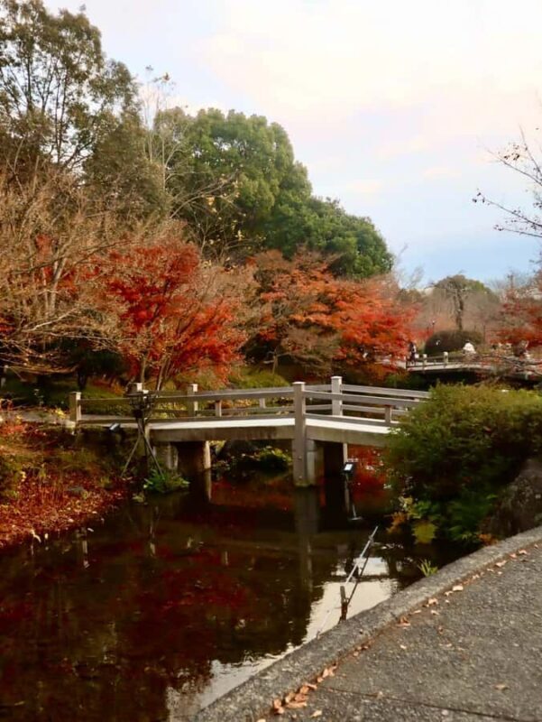 Nagoya: Nagashima Outlet Mall & Nabana no Sato Park Trip - Key Points