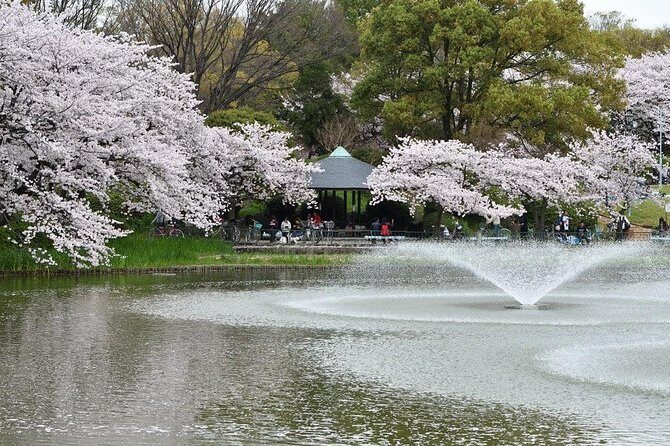 Nagoya Private Customizable Full Day Tour - An In-Depth Look at Your Nagoya Day