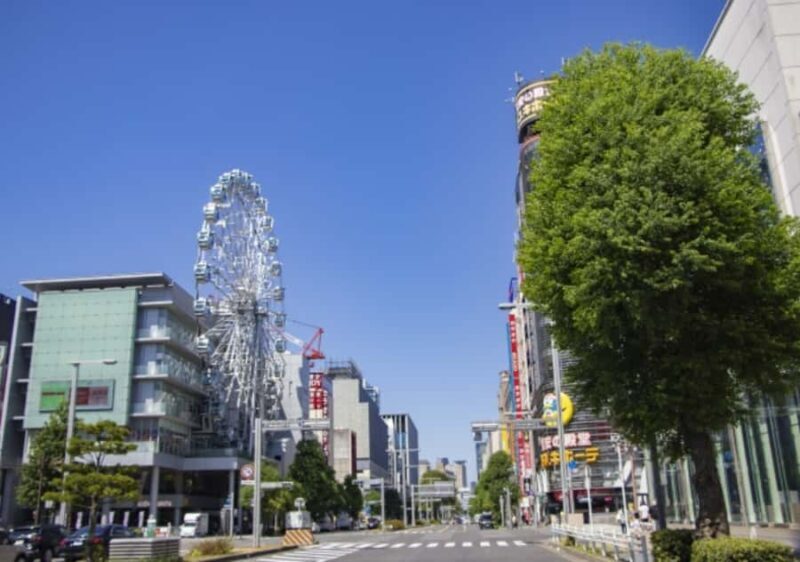 Nagoya: Private Customizable Shopping Tour with Guide - Key Points