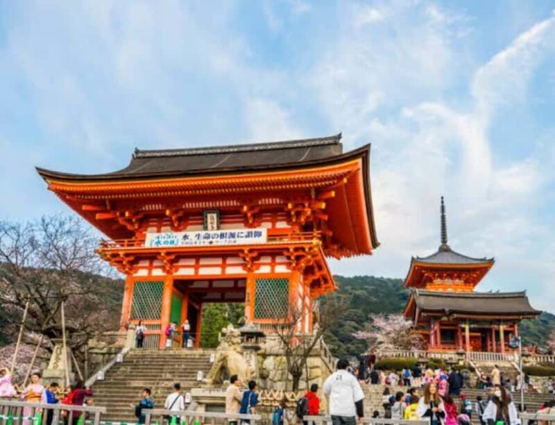 Nagoya: Private Kyoto Day Trip with Guide and Driver - Authentic Experiences and Cultural Insights