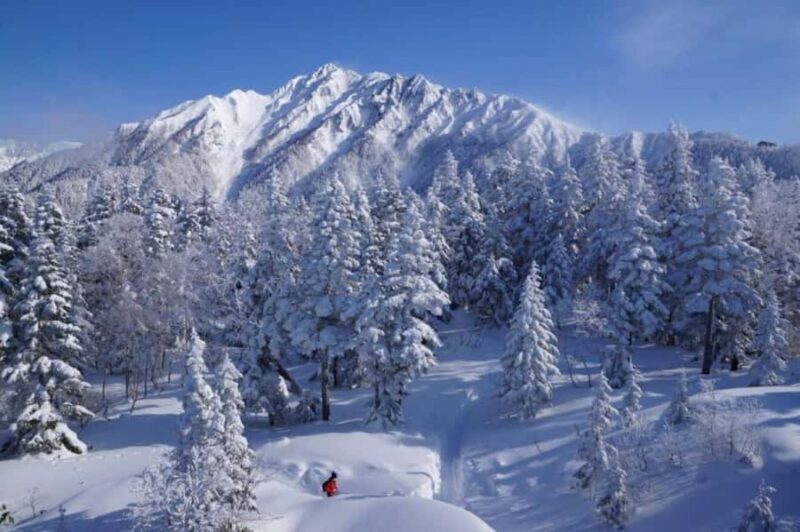Nagoya return day tour Shin-Hotaka Ropeway& Hida Takayama - A Complete Look at the Experience