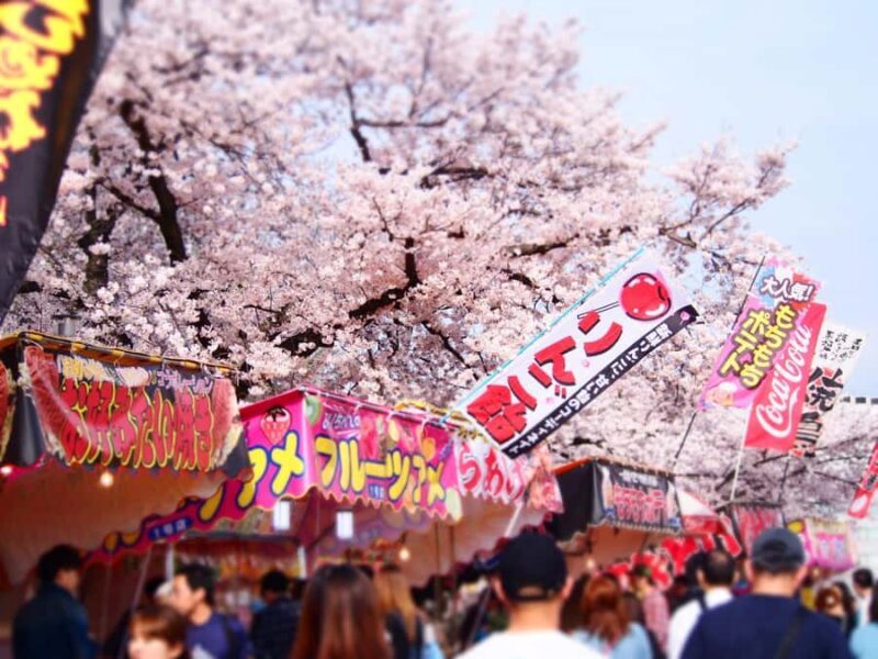 Nagoya Sakura Tour - Who Should Consider This Tour?
