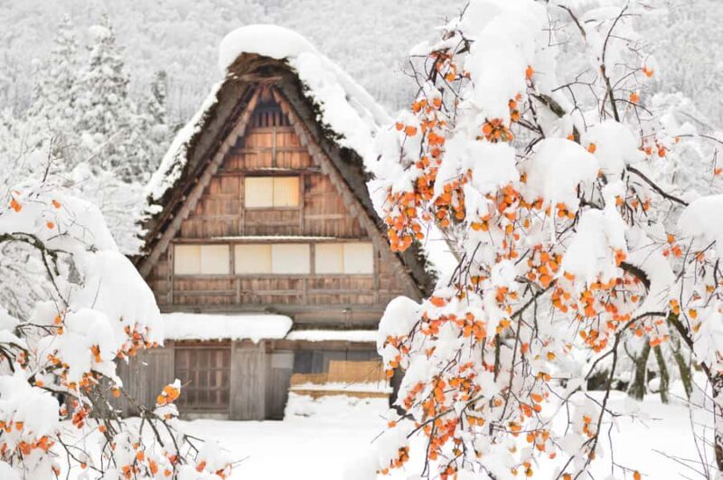 Nagoya: Shirakawa-go, Gujo, Hida Takayama Historic Day Tour - Cost and Value