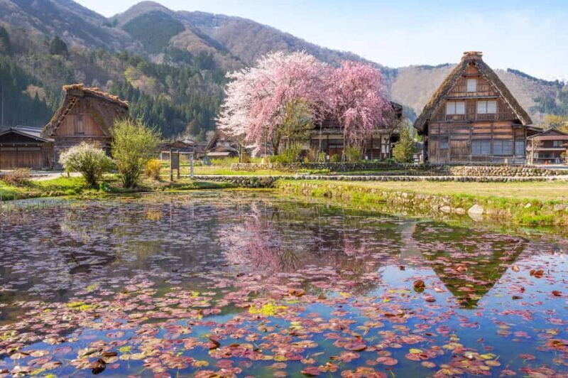 Nagoya: Shirakawa-go, Gujo, Hida Takayama Historic Day Tour - The Sum Up