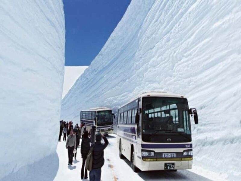 Nagoya: Shirakawa-go, Takayama & Snow Wall 2-Day Tour - An Honest Look at the Itinerary and Experiences