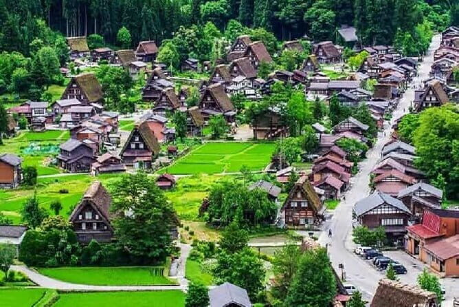 Nagoya Shirakawa go Village and Takayama One Day Tour - Who Is This Tour Best Suited For?