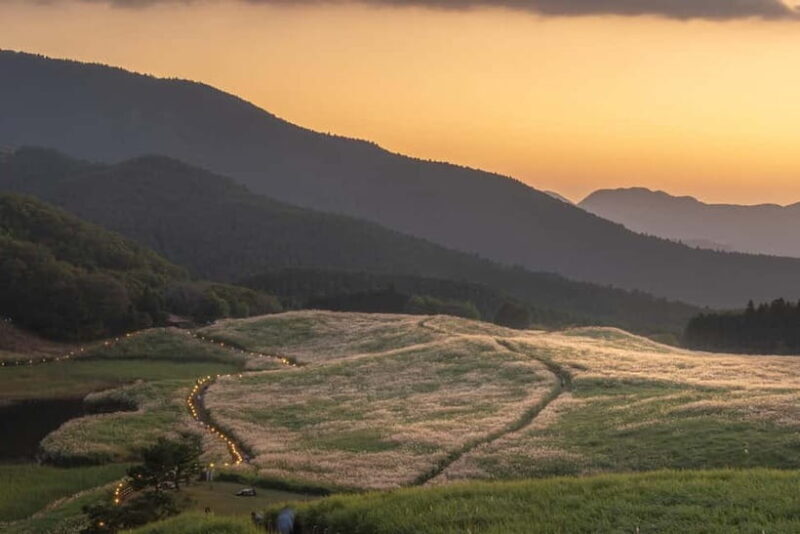 Nagoya: Soni Highlands & Akame 48 Waterfalls Guided Hike - Discovering Central Japan’s Natural Wonders