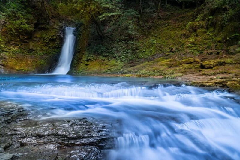 Nagoya: Soni Highlands & Akame 48 Waterfalls Guided Hike - What Makes This Tour Stand Out