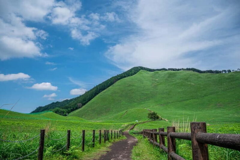 Nagoya: Soni Highlands & Akame 48 Waterfalls Guided Hike - The Sum Up: Who Will Love This Tour?