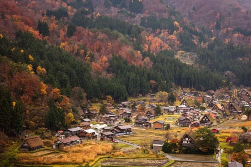 Nagoya: Takayama & Shirakawa-go Day Trip w/ Hida Pork Lunch - Who Is This Tour Best For?