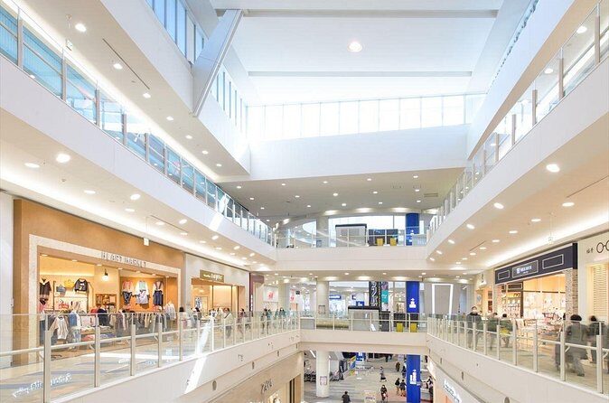 Nagoya True Japanese Local And Shopping Private Tour - Who Should Consider This Tour?