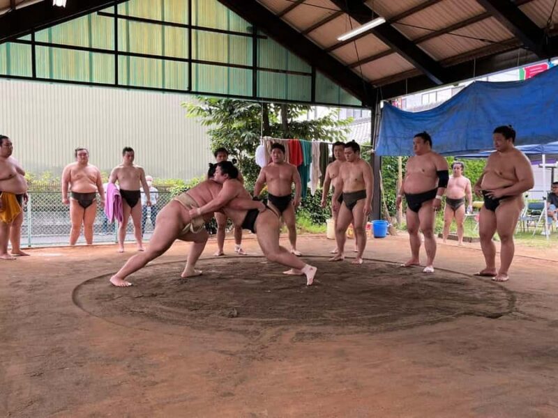 Nagoya: Visit Sumo Morning Practice with English Guide - Practical Details and Value