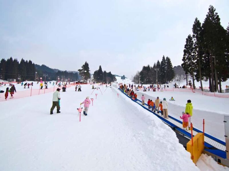 Nagoya: Washigatake Ski Resort Day Trip with Lift Ticket - An Overview of the Experience