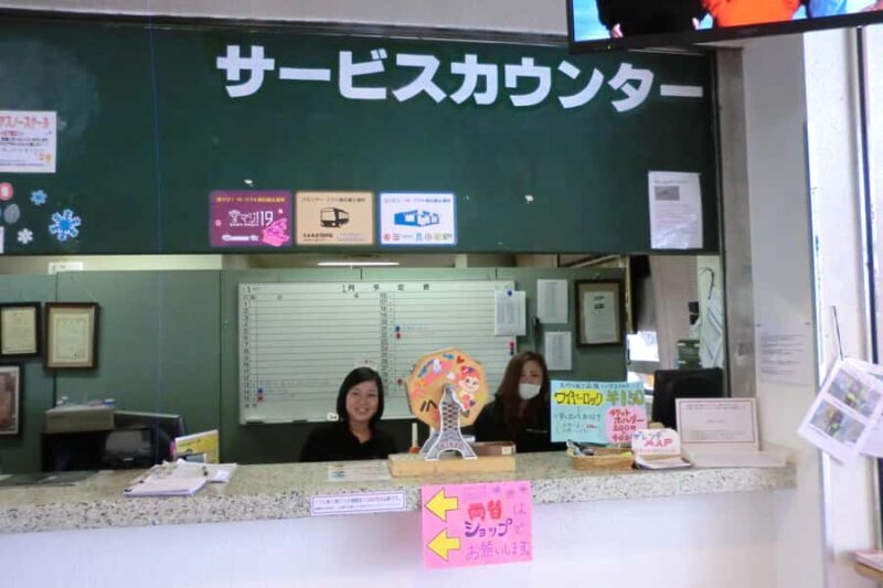 Nagoya: White Pia Takasu Ski Resort Day Trip with Lift Pass - Who Will Love This Trip?