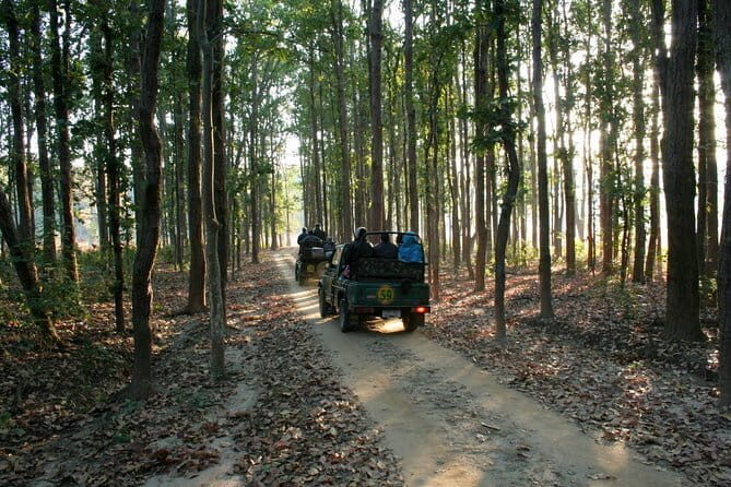 Nagpur to Vizag Tribal Villages & Tiger Safari - Exploring Kanker: Heritage and Mystique