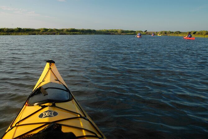Nags Head Kayak Tour - The Real Value of This Tour