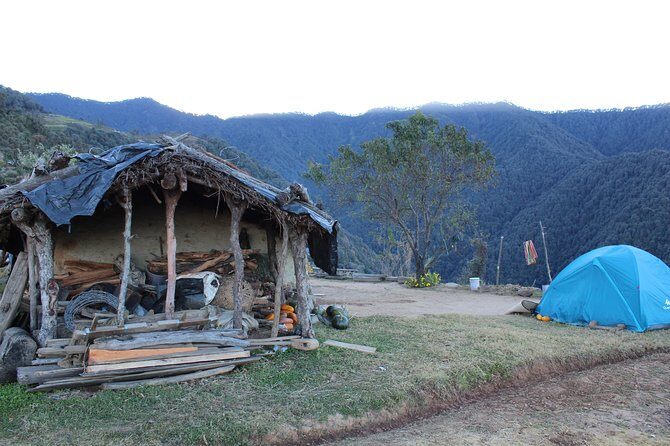 Nagtibba Trek (Dehradun to Dehradun) - Why the Reviews Shine