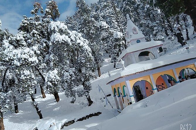 Nagtibba Trek (Dehradun to Dehradun) - Who Will Love This Trek?