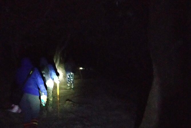 Nagtibba Trek (Pantwari to Pantwari) - What Makes This Trek Stand Out